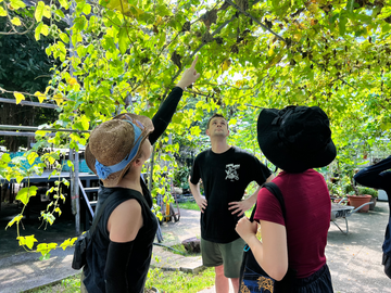 City Sprouts Urban Farm Singapore. Sprout Hub Community Farm – citysprouts