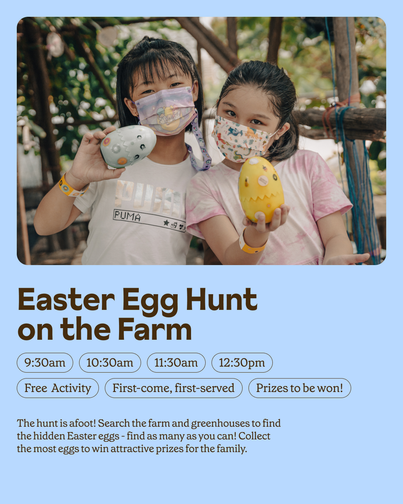 Farmers' Market: Easter Egg-stravaganza Edition 2025 – citysprouts