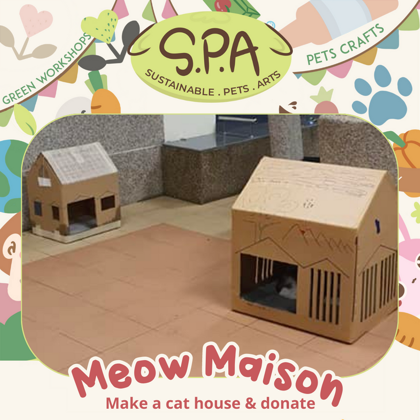 Meow Maison Cat House Making – citysprouts