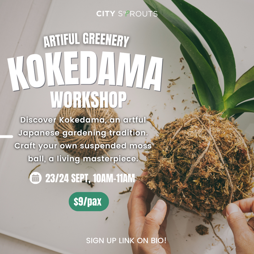 Activities at NParks Parks Festival 2023 @ West Coast – citysprouts