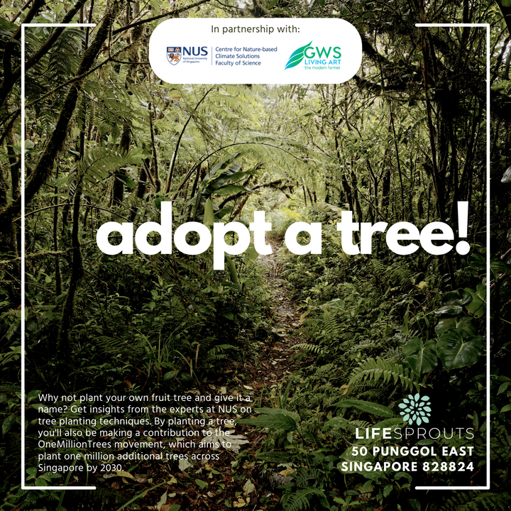 Adopt a Tree | Tree-Planting Volunteer Community in Singapore – citysprouts