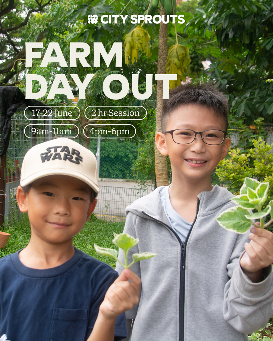 City Sprouts Urban Farm Singapore. Sprout Hub Community Farm – citysprouts