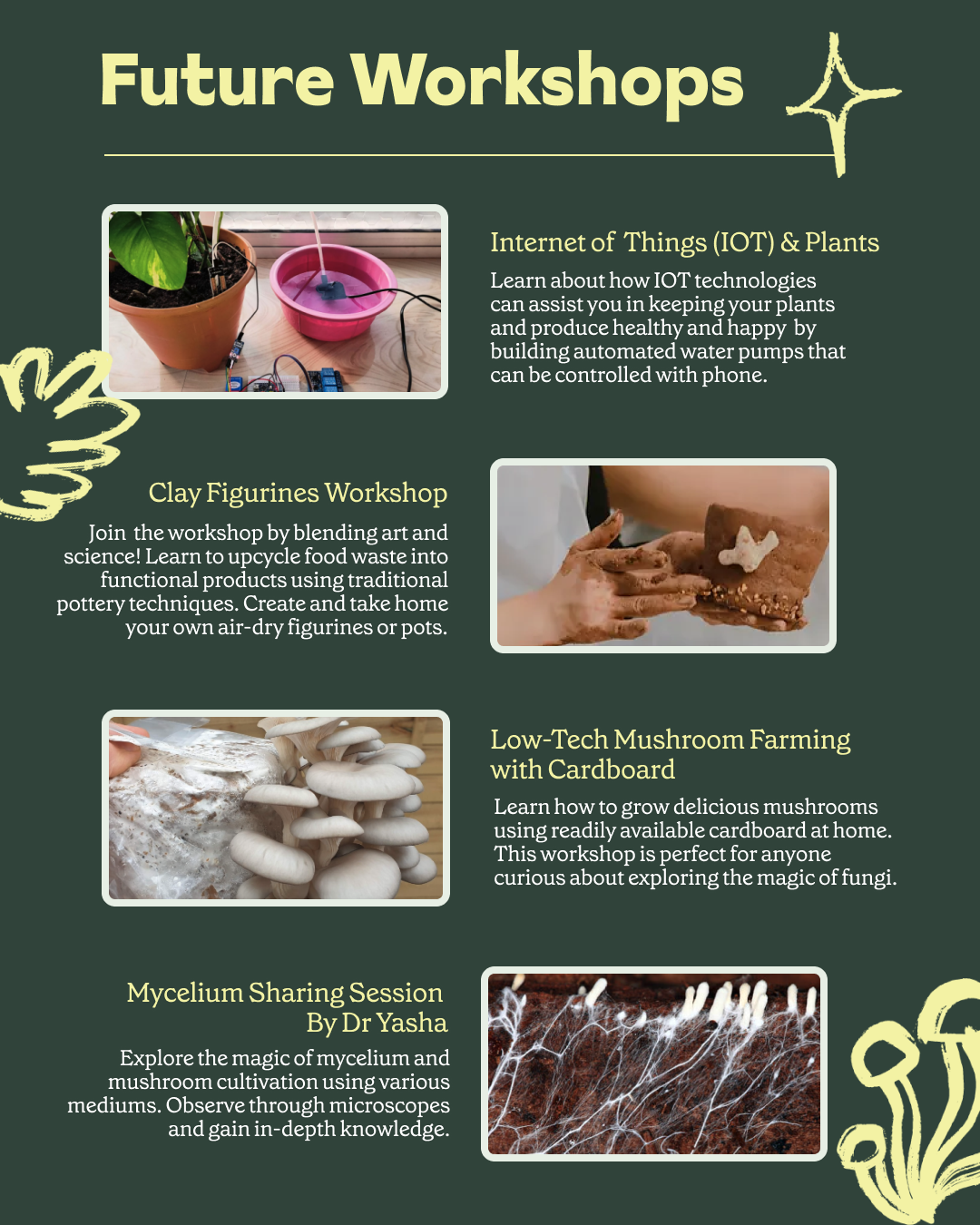 Future Forest Festival – citysprouts