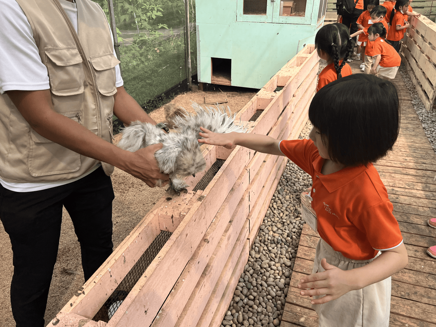 City Sprouts Urban Farm Singapore. Sprout Hub Community Farm – citysprouts