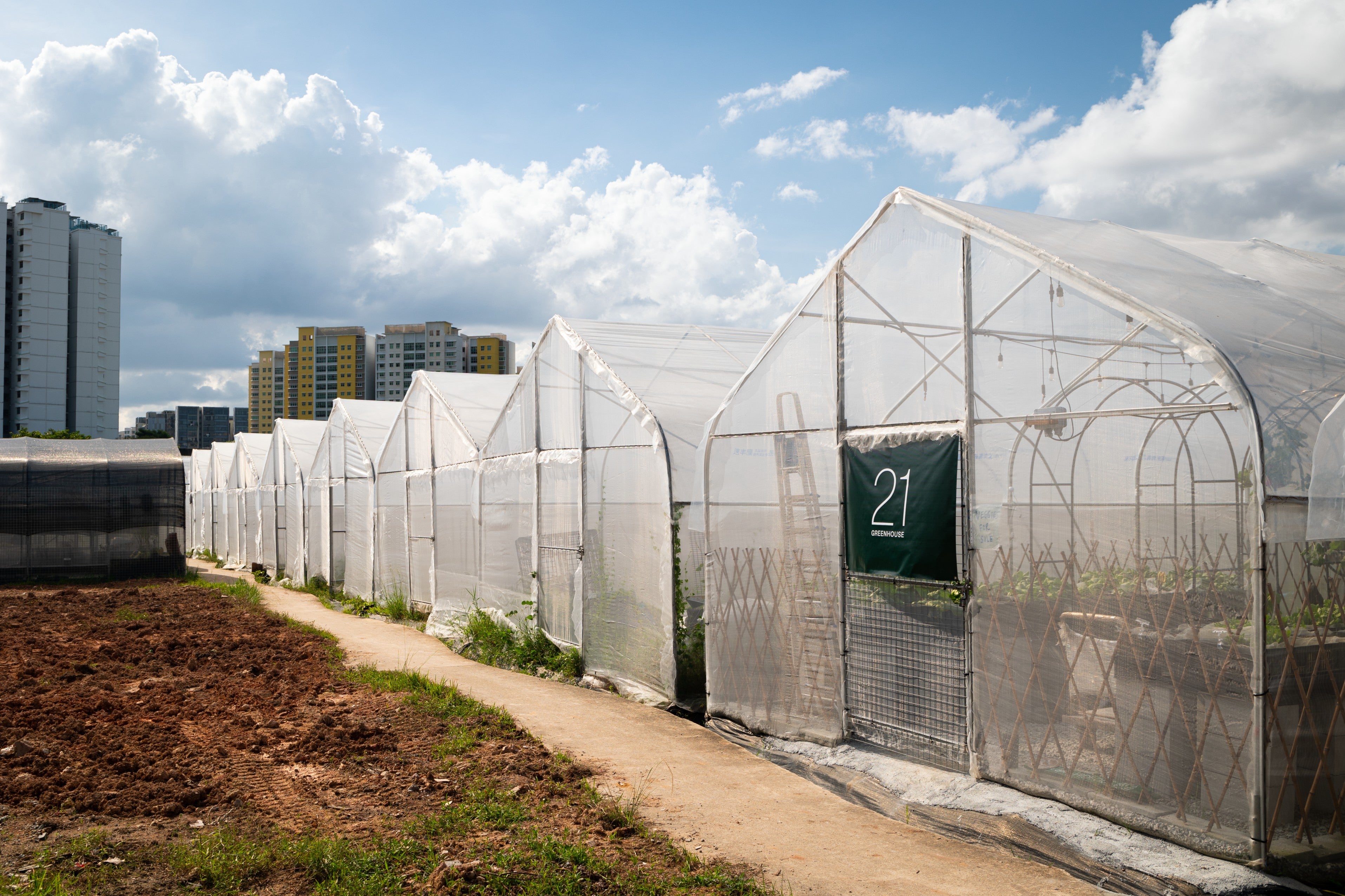 Local Urban Farm Singapore - Local Farmers & Locally-Harvested ...