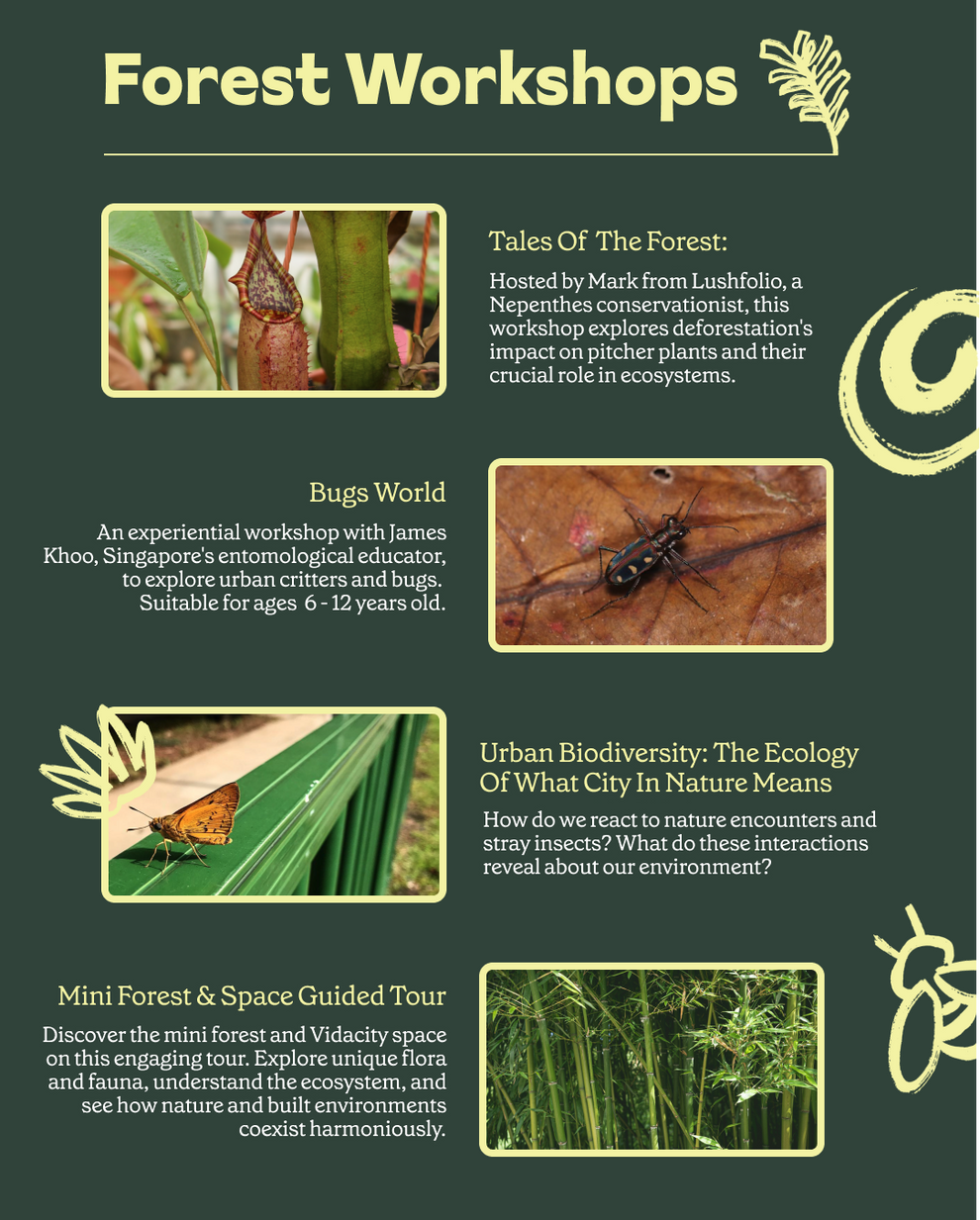Future Forest Festival – citysprouts