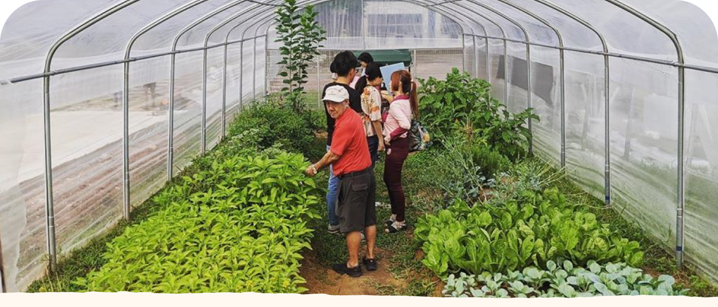 city sprouts henderson – citysprouts