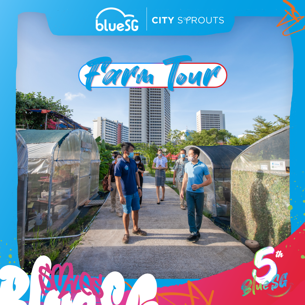 Guided Farm Tour – citysprouts